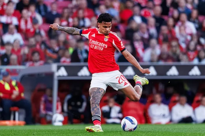 "Napoli" wants to transfer "Benfica's" Colombian midfielder Richard ...
